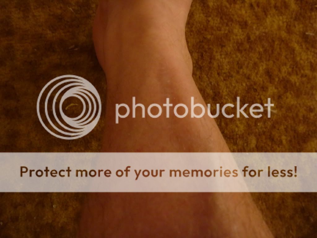 September Competition | Alluvial Gold Prospectors