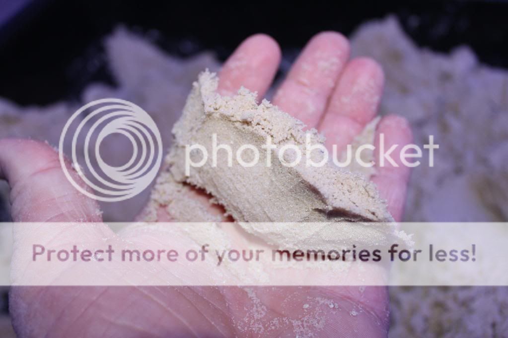 Making frag plugs | Reef2Reef