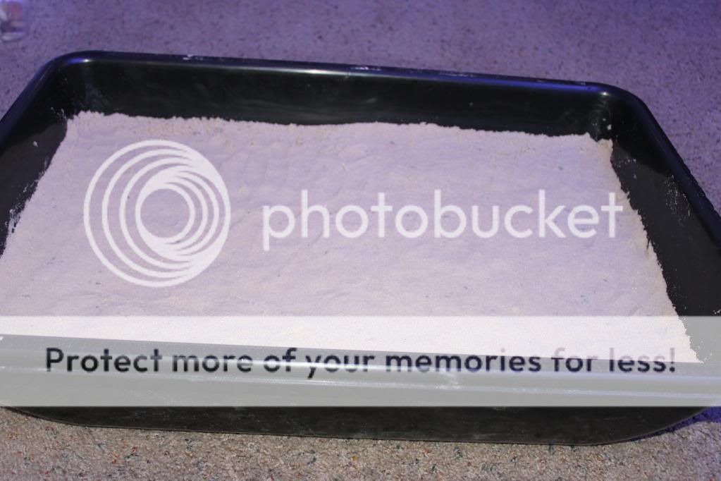 Making frag plugs | Reef2Reef