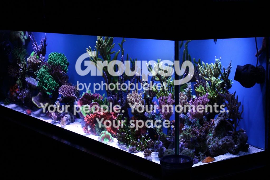 Evolution of Reef | Reef2Reef