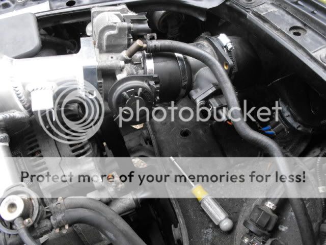 USRT ABA long runner on,,, | VW Vortex - Volkswagen Forum